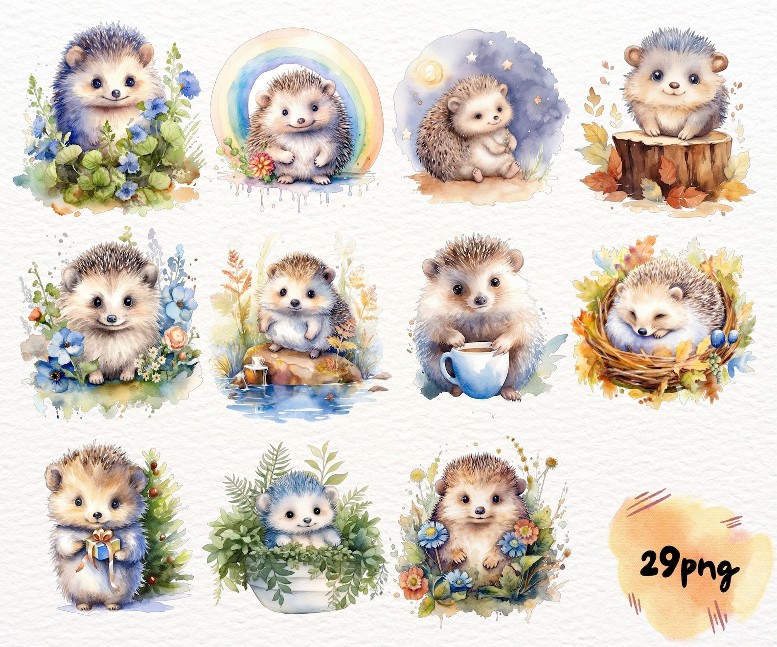 Chubby Hedgehogs Watercolor Clipart Cute Kawaii Cartoon Hedgehogs, Baby ...