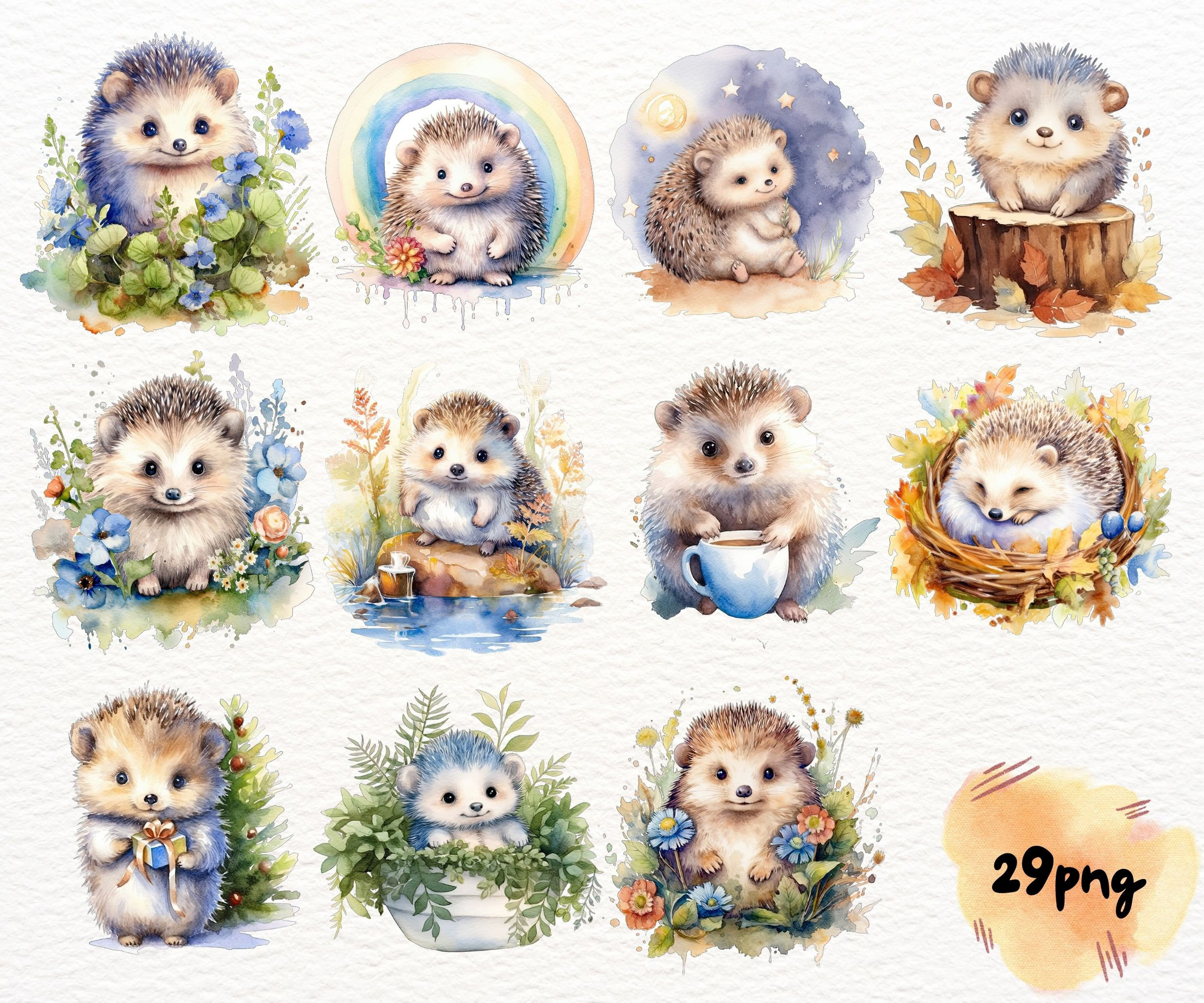 Chubby Hedgehogs Watercolor Clipart Cute Kawaii Cartoon Hedgehogs, Baby ...