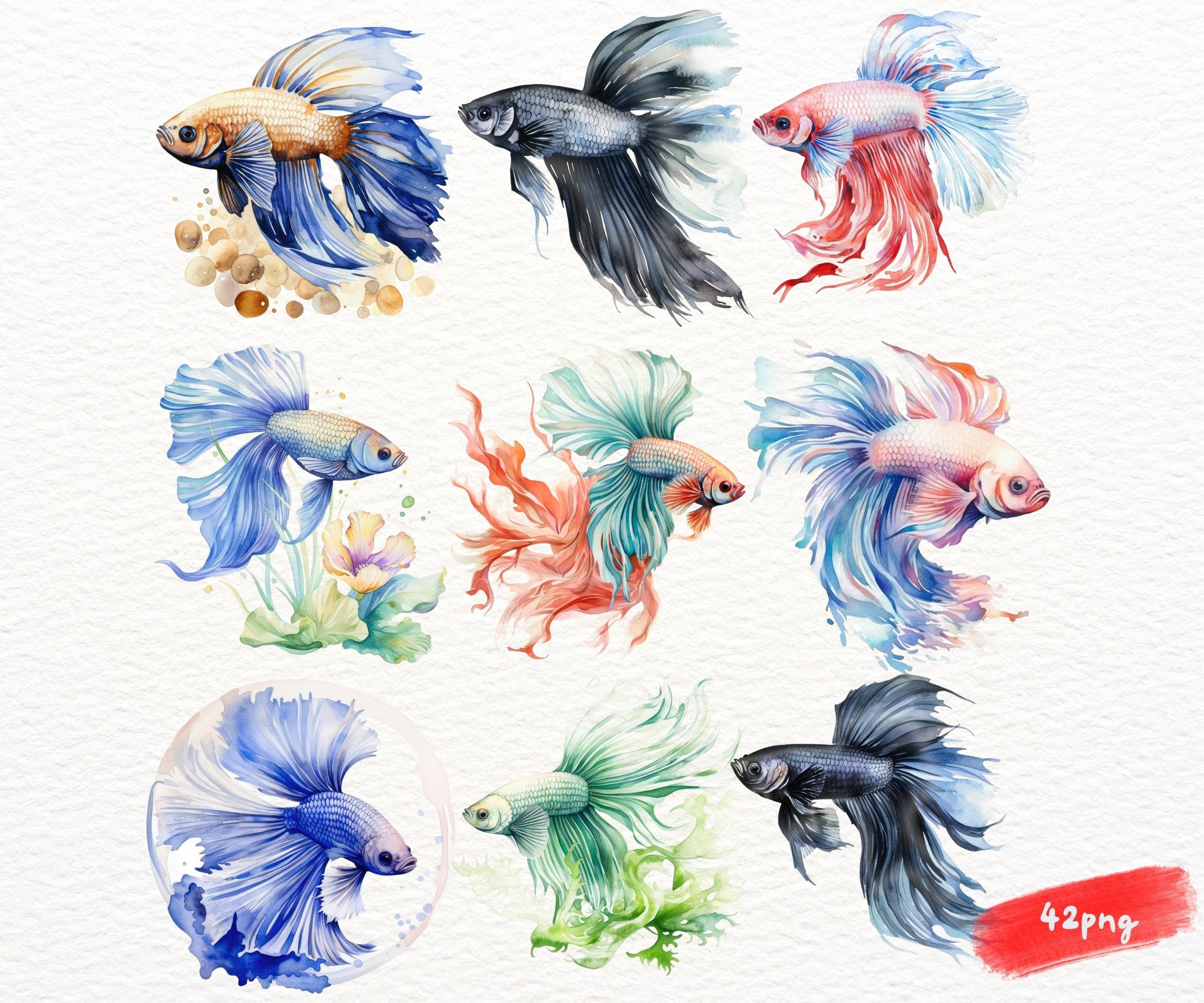 Watercolor Betta Fish Clipart Bundle , Colorful Vibrant Tropical ...