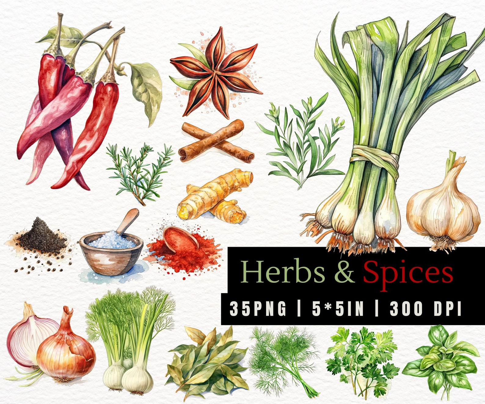 Herbs and Spices Watercolor Clipart Chives Basil Garlic - Etsy