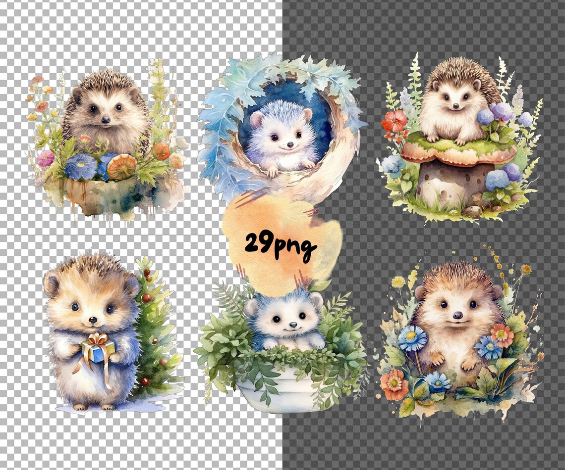 Chubby Hedgehogs Watercolor Clipart Cute Kawaii Cartoon - Etsy