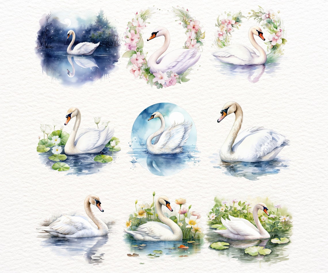 Swans Watercolor Clipart Cute Elegant Cartoon Black Swans - Etsy