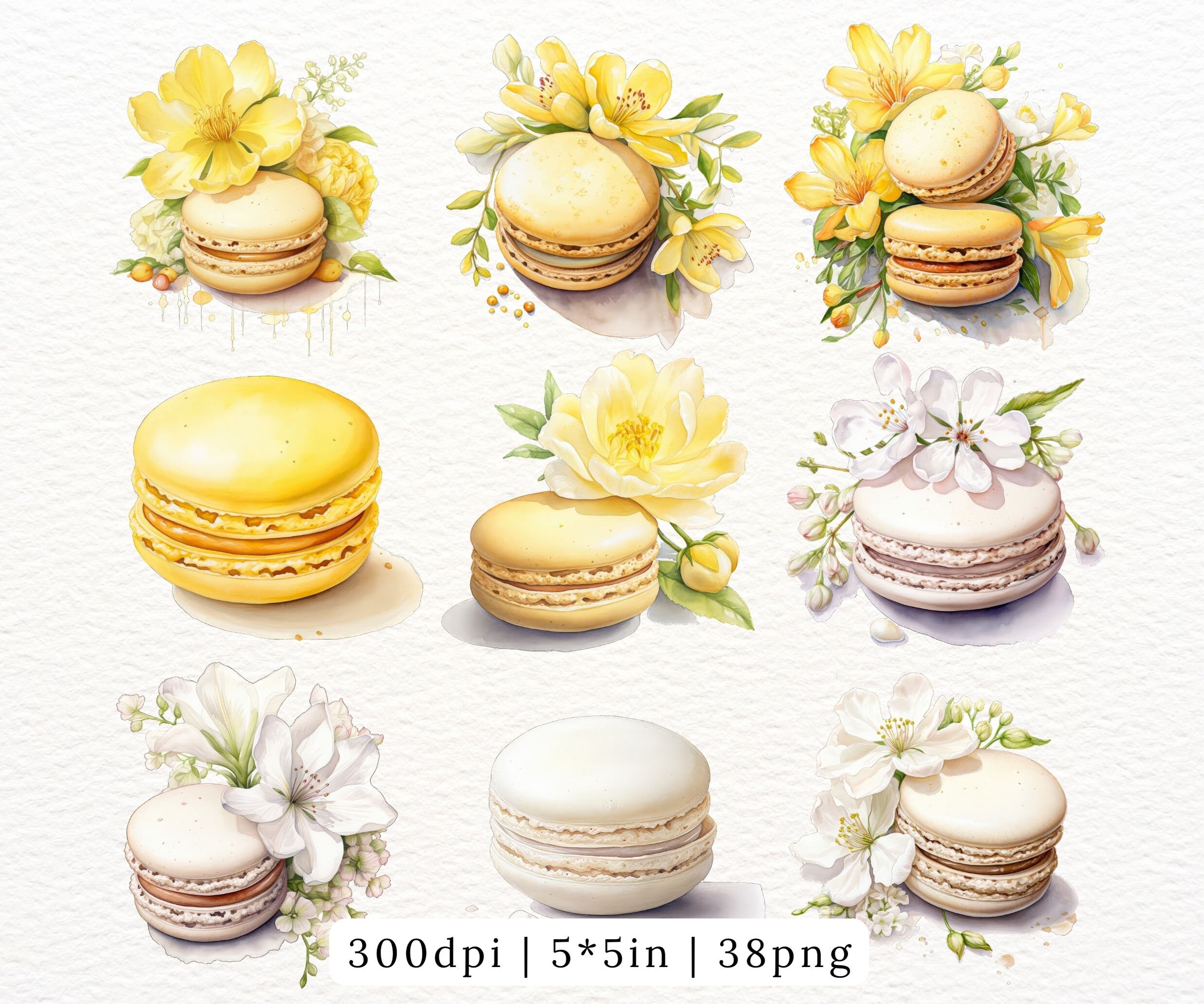 Watercolor French Macaron Clipart, Pastel Colors, Bakery Dessert With ...
