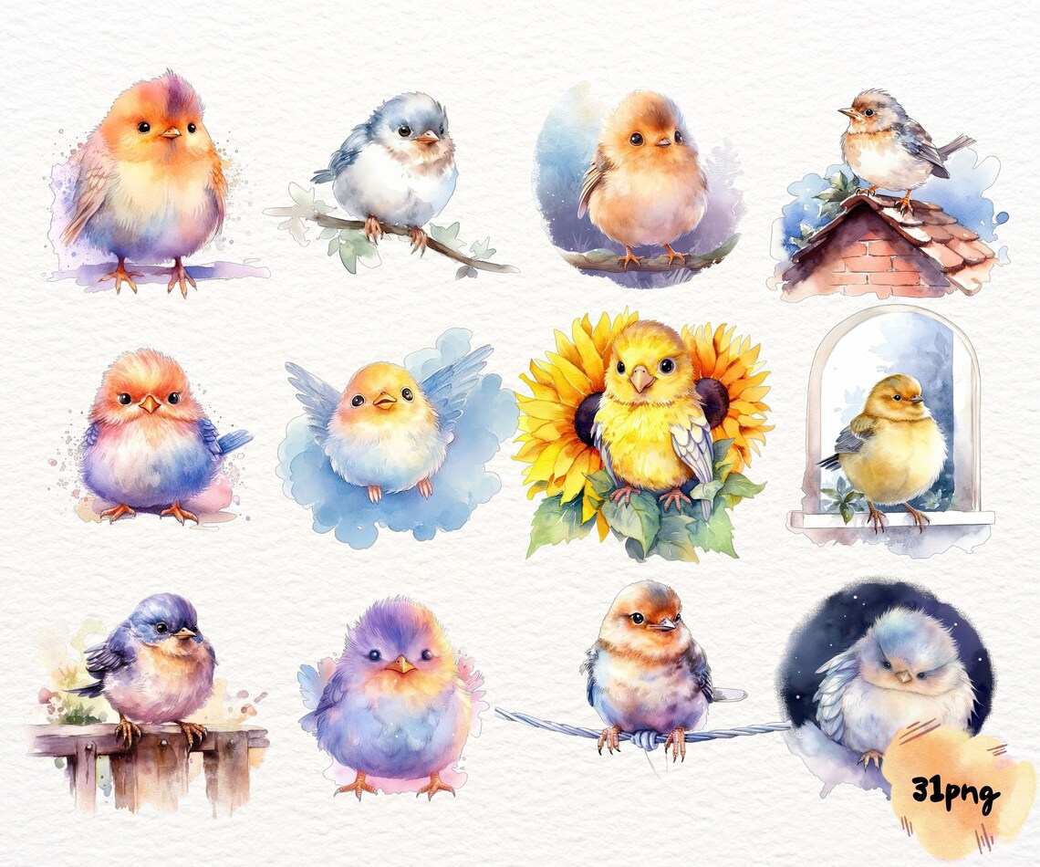 Chubby Birds Watercolor Clipart Cute Kawaii Cartoon Birds - Etsy