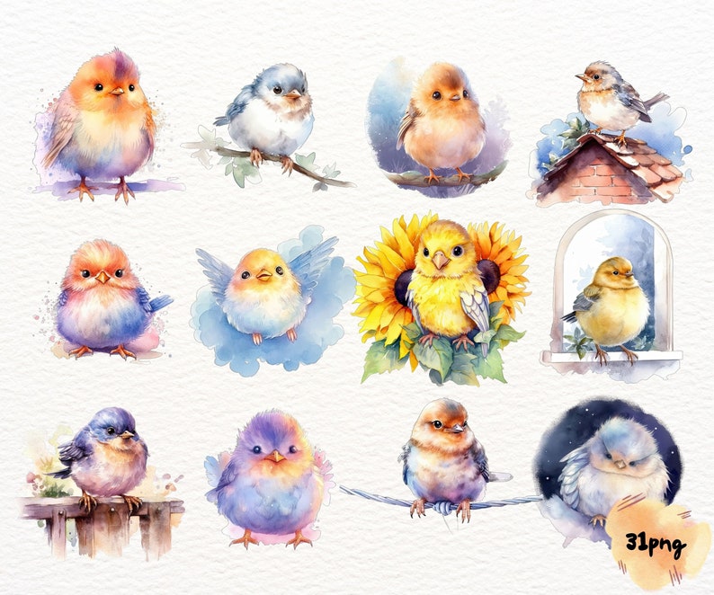 Chubby Birds Watercolor Clipart Cute Kawaii Cartoon Birds, Baby Birds ...