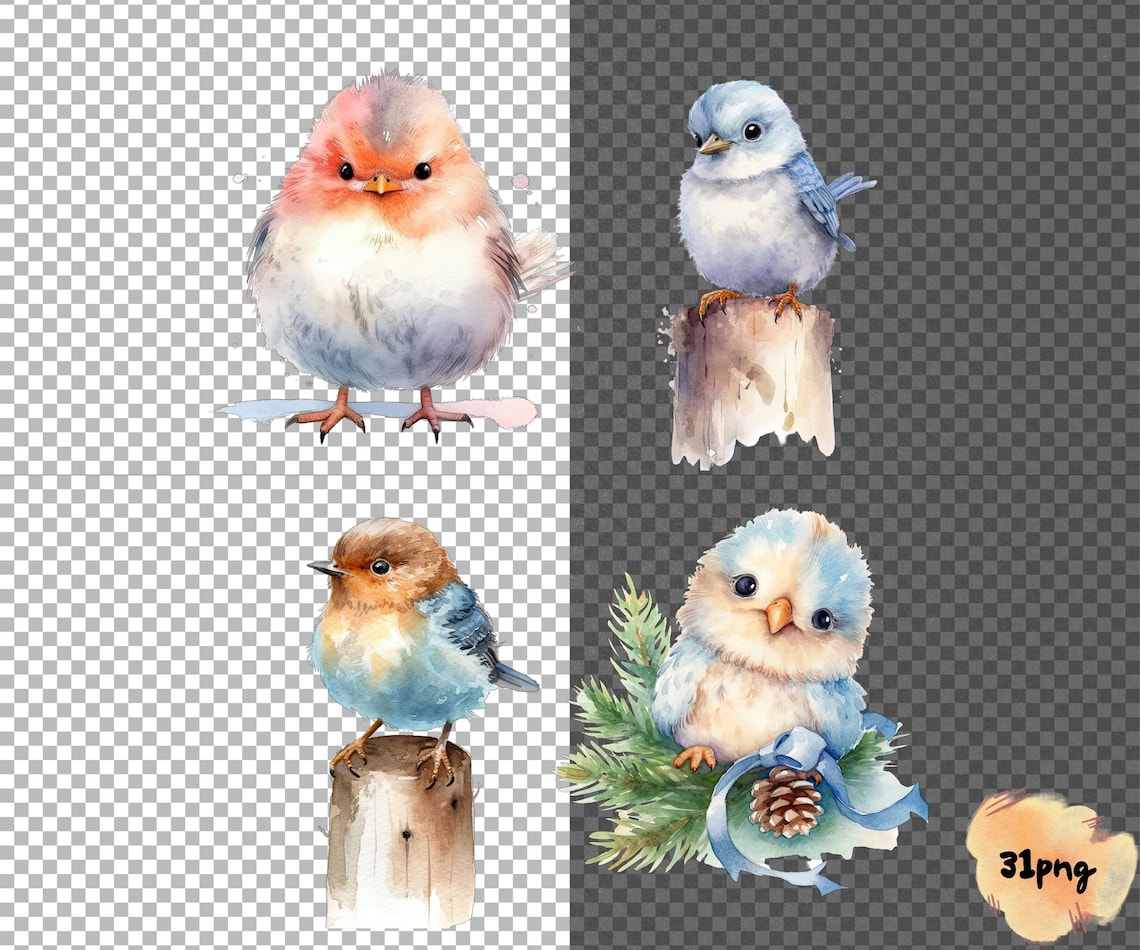 Chubby Birds Watercolor Clipart Cute Kawaii Cartoon Birds - Etsy