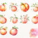 Peach Watercolor Clipart, Decorative Frame, Line, Leaf, Fruit, Divider ...