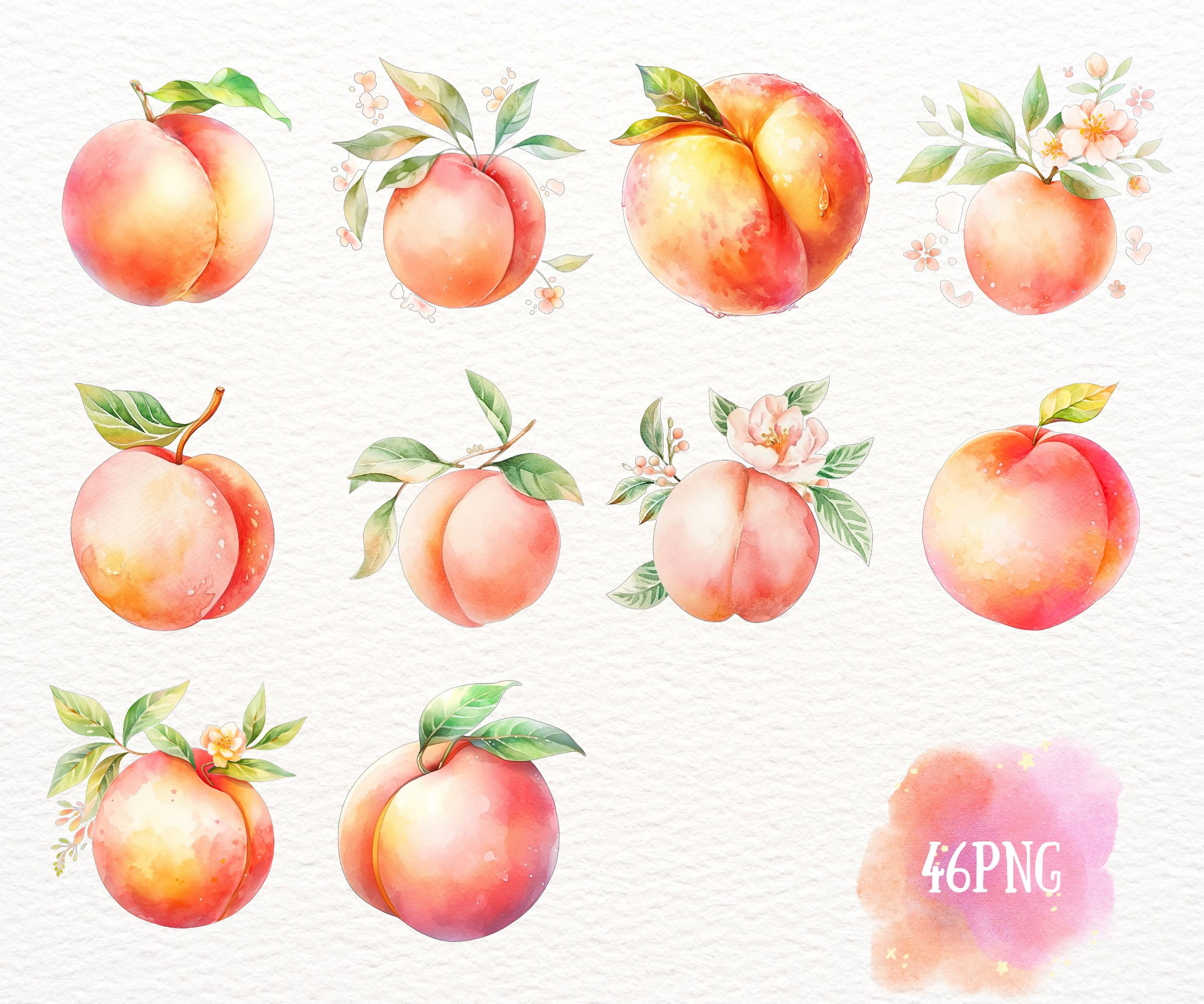 Peach Watercolor Clipart, Decorative Frame, Line, Leaf, Fruit, Divider ...
