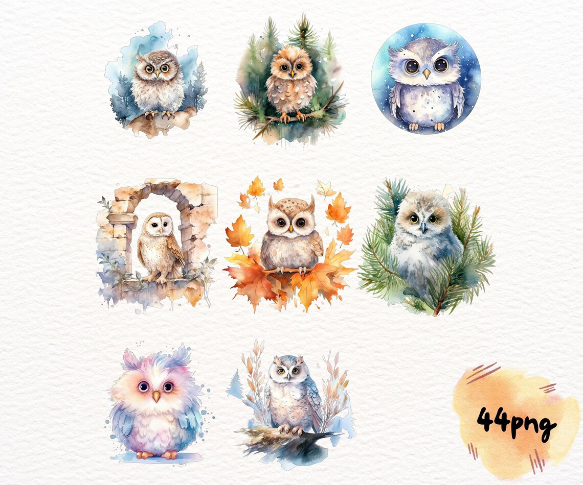 Chubby Owls Watercolor Clipart Cute Kawaii Cartoon Owls - Etsy