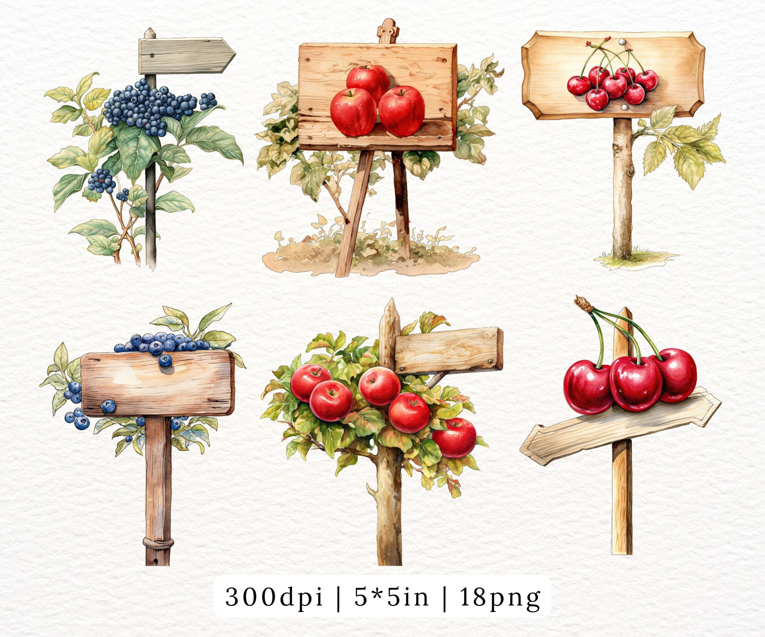 Watercolor Wooden Fruit Signs Clipart Vintage Village Rustic - Etsy