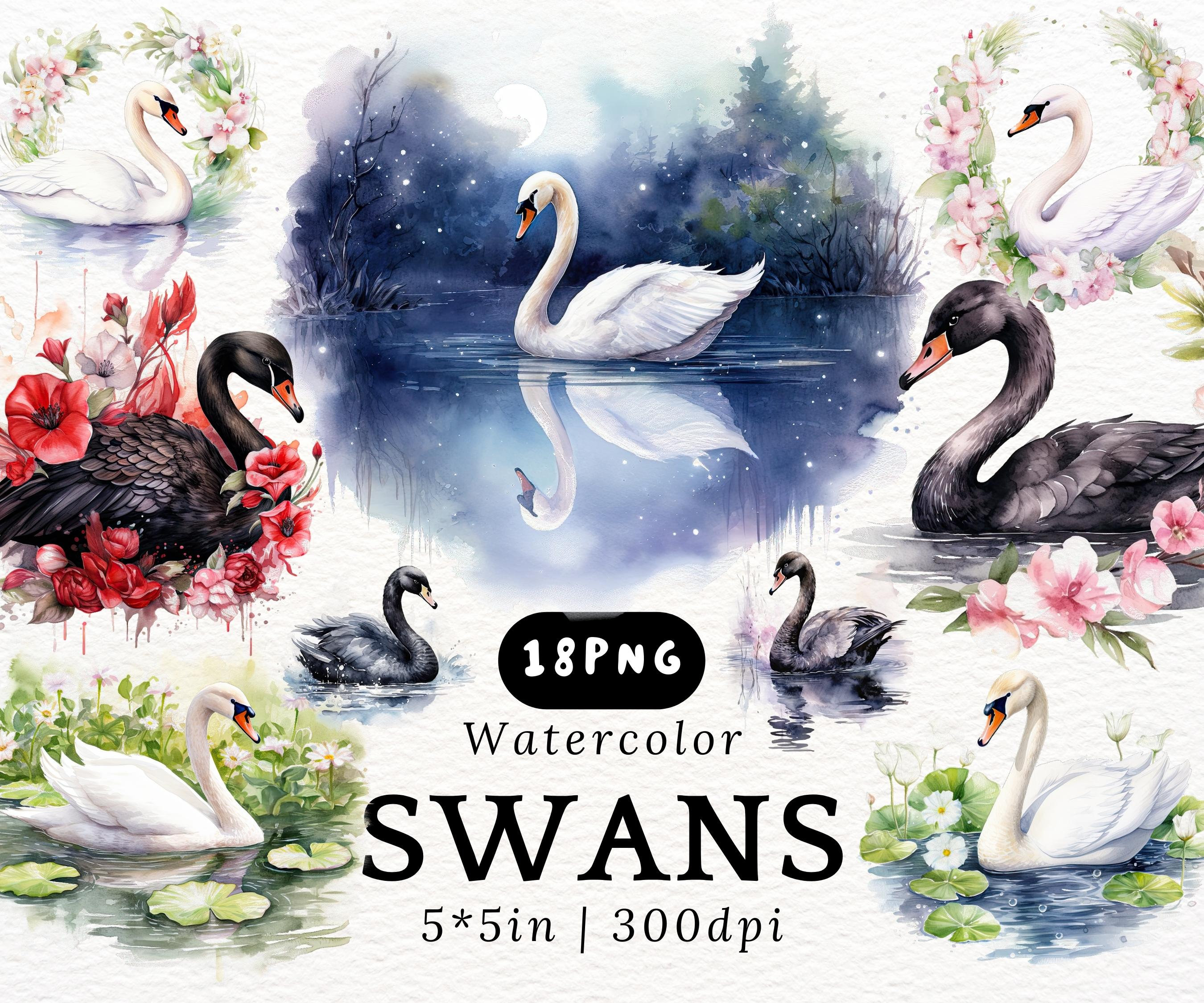Swans Watercolor Clipart, Cute Elegant Cartoon Black Swans With Flowers ...