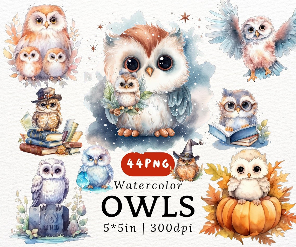 Chubby Owls Watercolor Clipart - Cute Kawaii Cartoon Owls, Baby Owls ...
