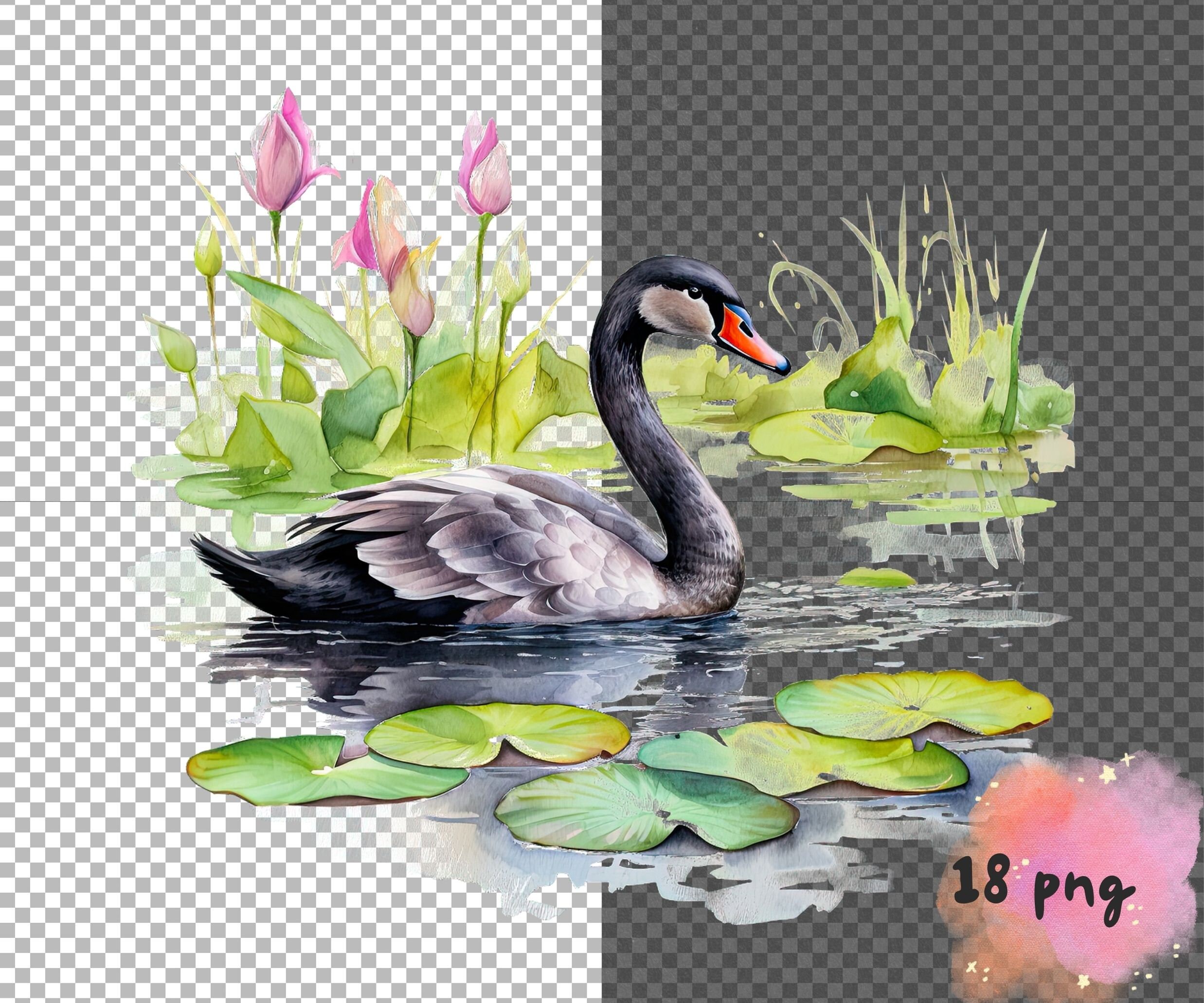 Swans Watercolor Clipart, Cute Elegant Cartoon Black Swans With Flowers ...