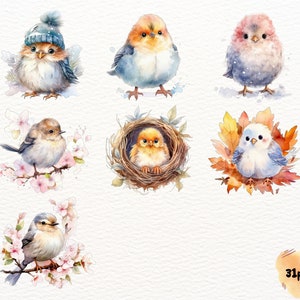 Chubby Birds Watercolor Clipart - Cute Kawaii Cartoon Birds, Baby Birds ...