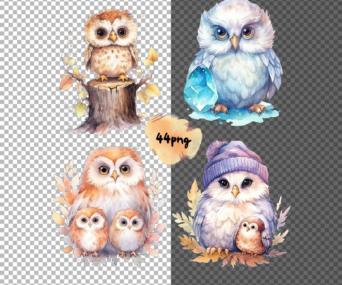 Chubby Owls Watercolor Clipart Cute Kawaii Cartoon Owls - Etsy