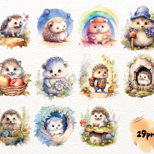 Chubby Hedgehogs Watercolor Clipart - Cute Kawaii Cartoon Hedgehogs ...