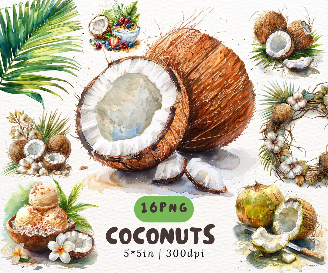Watercolor Coconut Clipart PNG - Tropical Fruit Illustration Set ...
