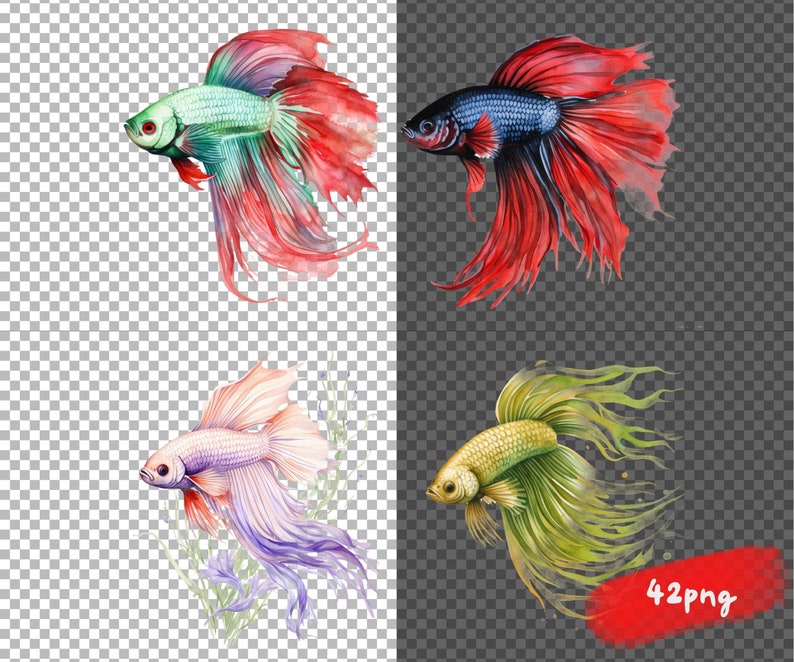 Watercolor Betta Fish Clipart Bundle , Colorful Vibrant Tropical ...