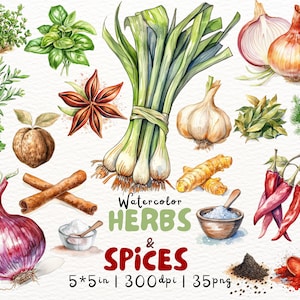 Herbs and Spices Watercolor Clipart, Chives, Basil, Garlic, Chili ...