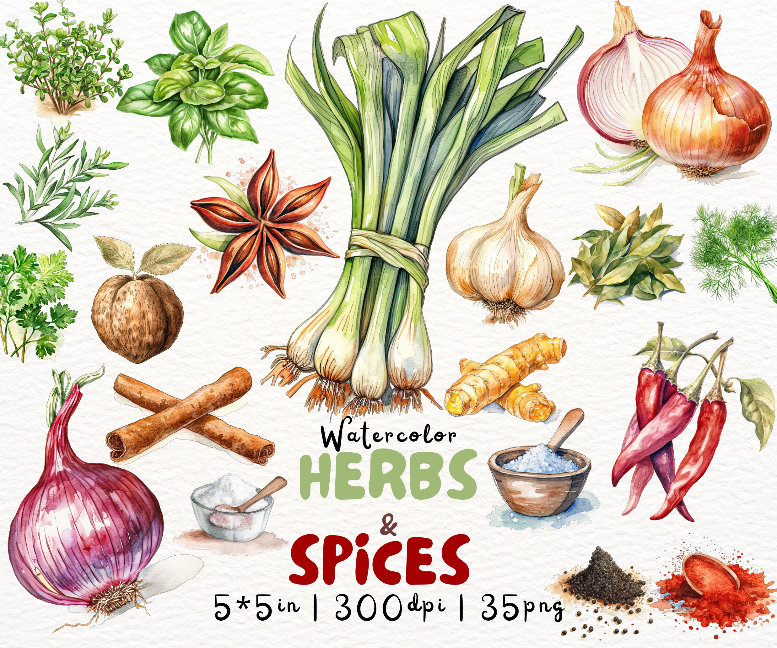 Herbs and Spices Watercolor Clipart, Chives, Basil, Garlic, Chili ...