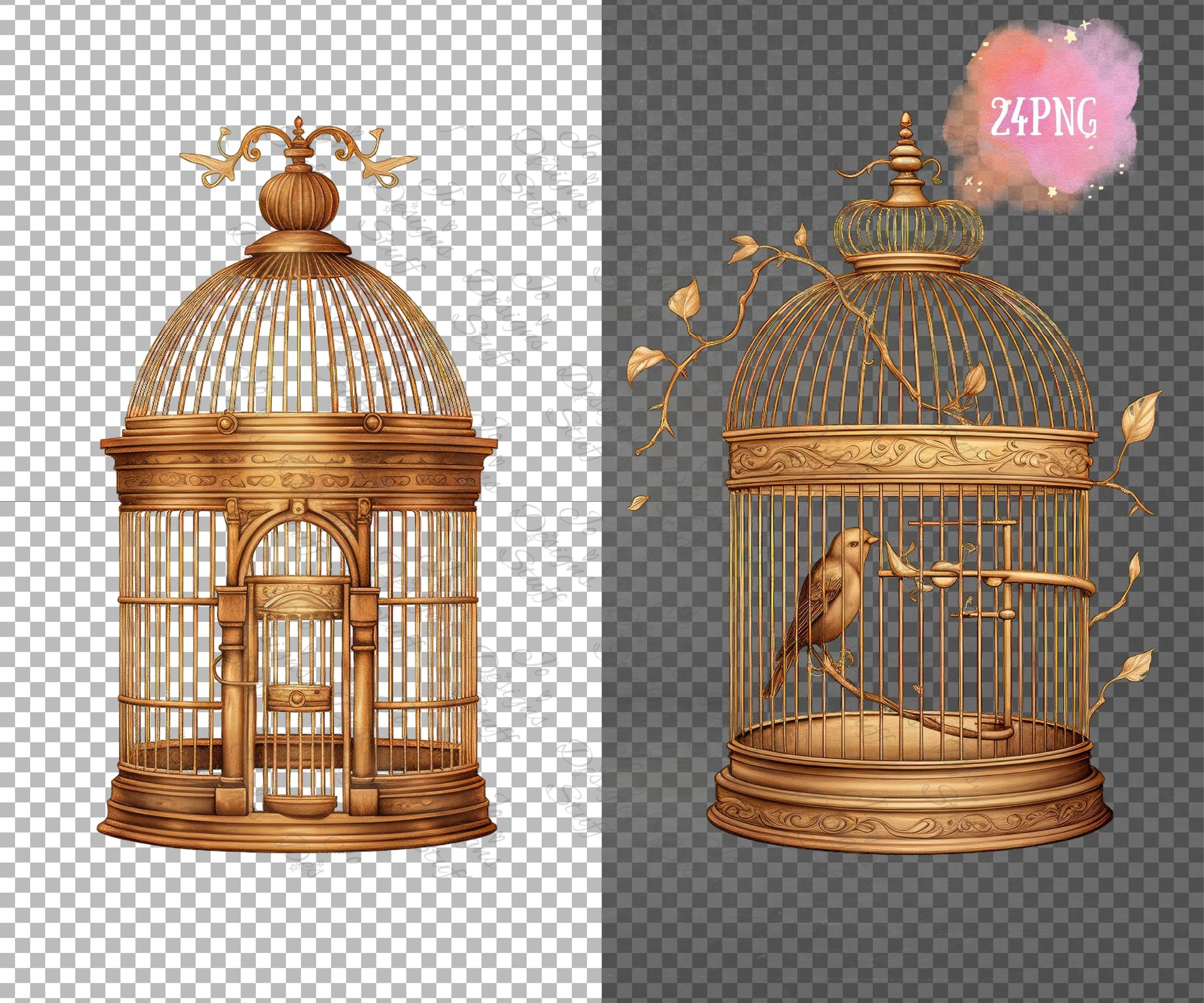 Watercolor Bird Cages, Vintage Shabby Antique Metal Bird Cage With ...