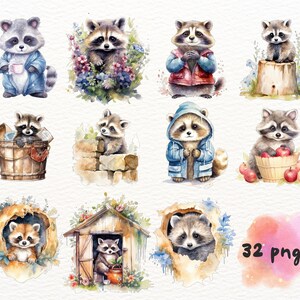 Chubby Raccoon Watercolor Clipart - Cute Kawaii Cartoon Raccoons, Baby ...