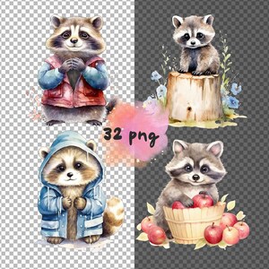 Chubby Raccoon Watercolor Clipart - Cute Kawaii Cartoon Raccoons, Baby ...