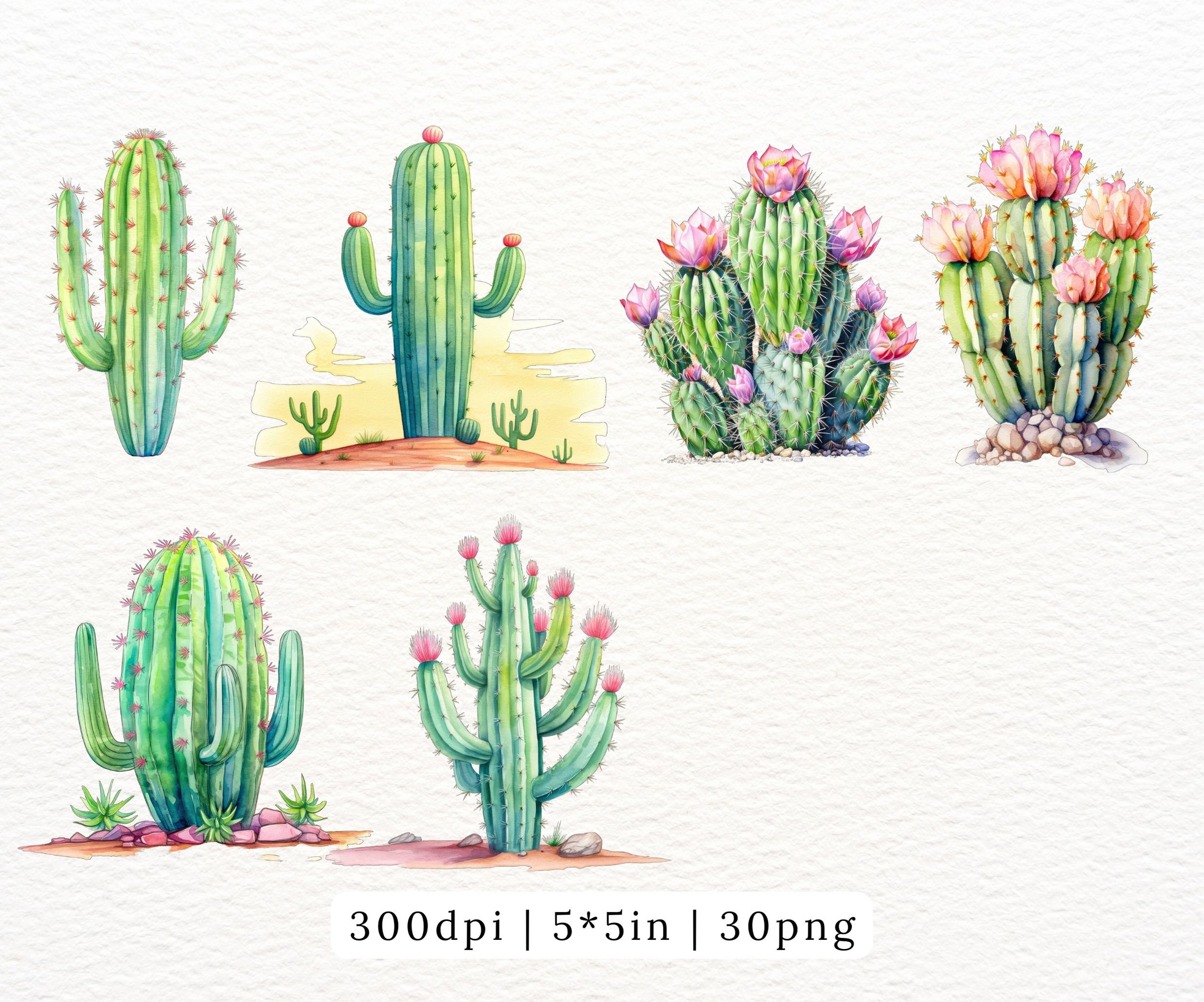 Watercolor Cactus Clipart - Desert Succulent PNG, Floral Cacti Stickers ...