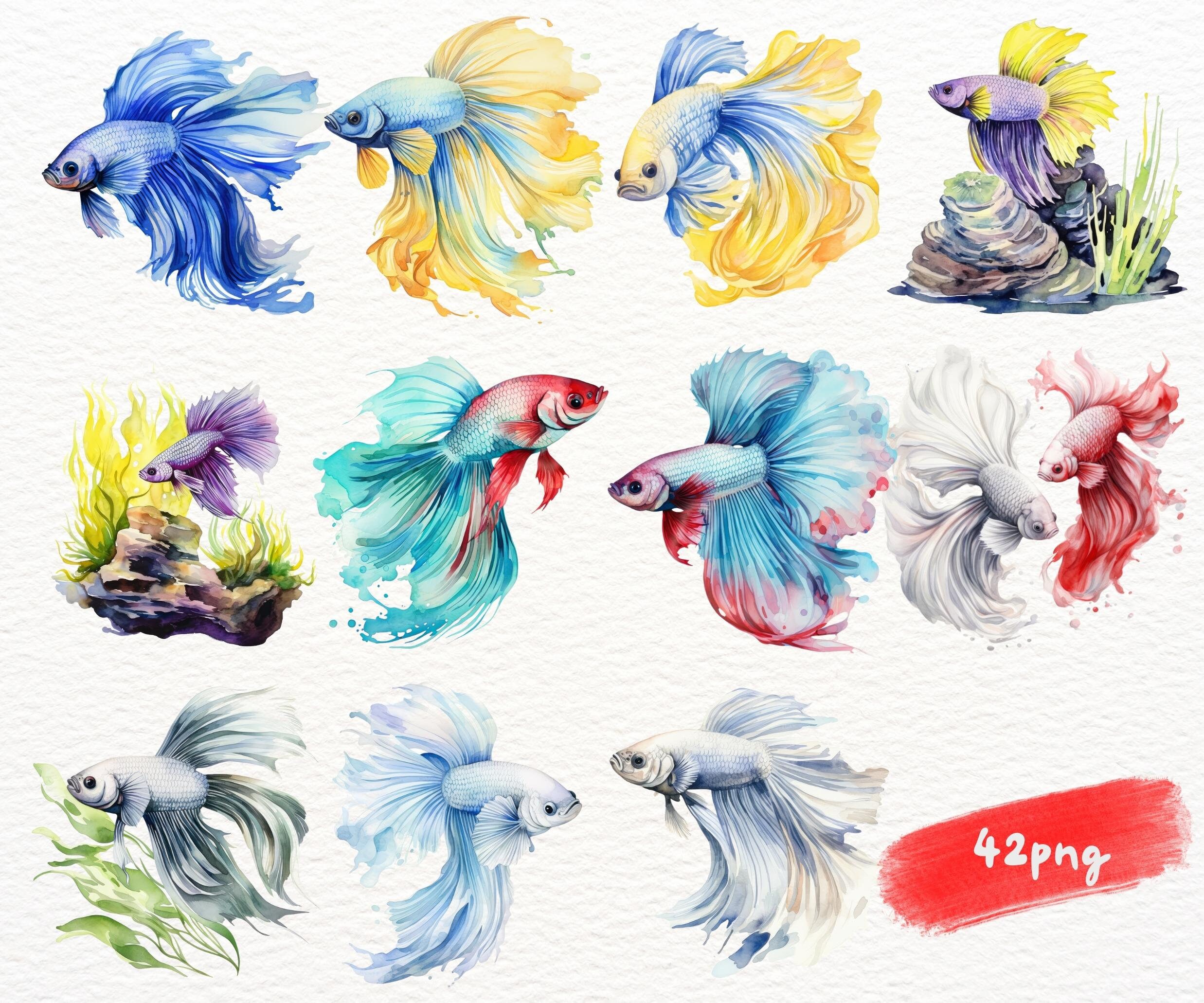 Watercolor Betta Fish Clipart Bundle , Colorful Vibrant Tropical ...