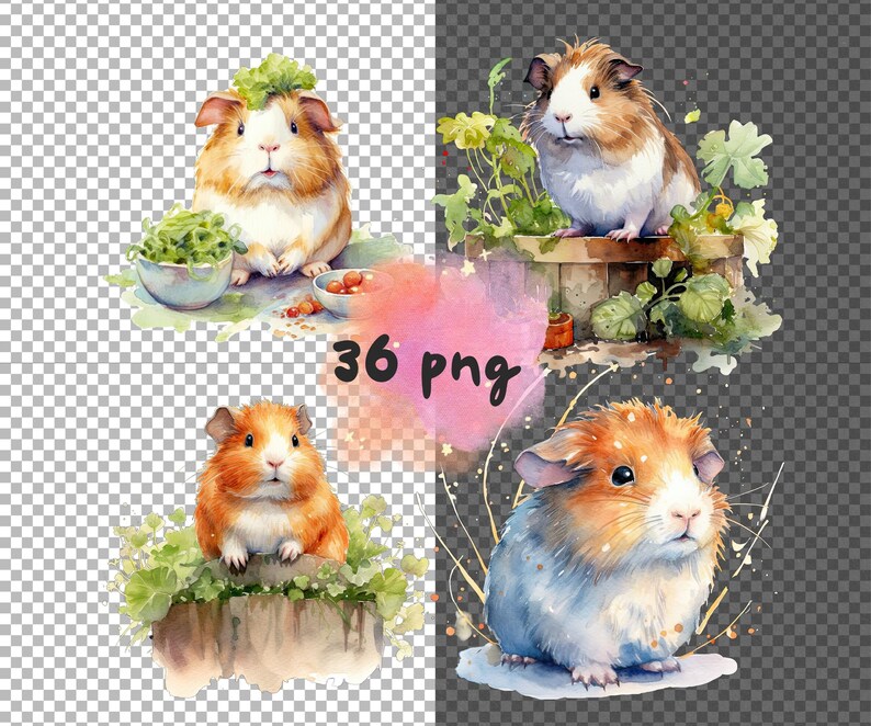 Chubby Guinea Pigs Watercolor Clipart Cute Kawaii Cartoon Guinea Pigs ...