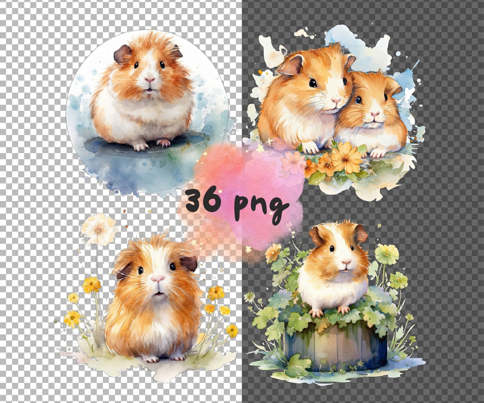 Chubby Guinea Pigs Watercolor Clipart Cute Kawaii Cartoon Guinea Pigs ...