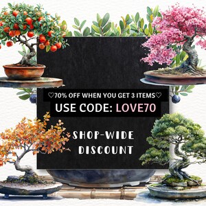 Watercolor Bonsai Tree Clipart - 26 PNG Miniature Tree Illustrations ...