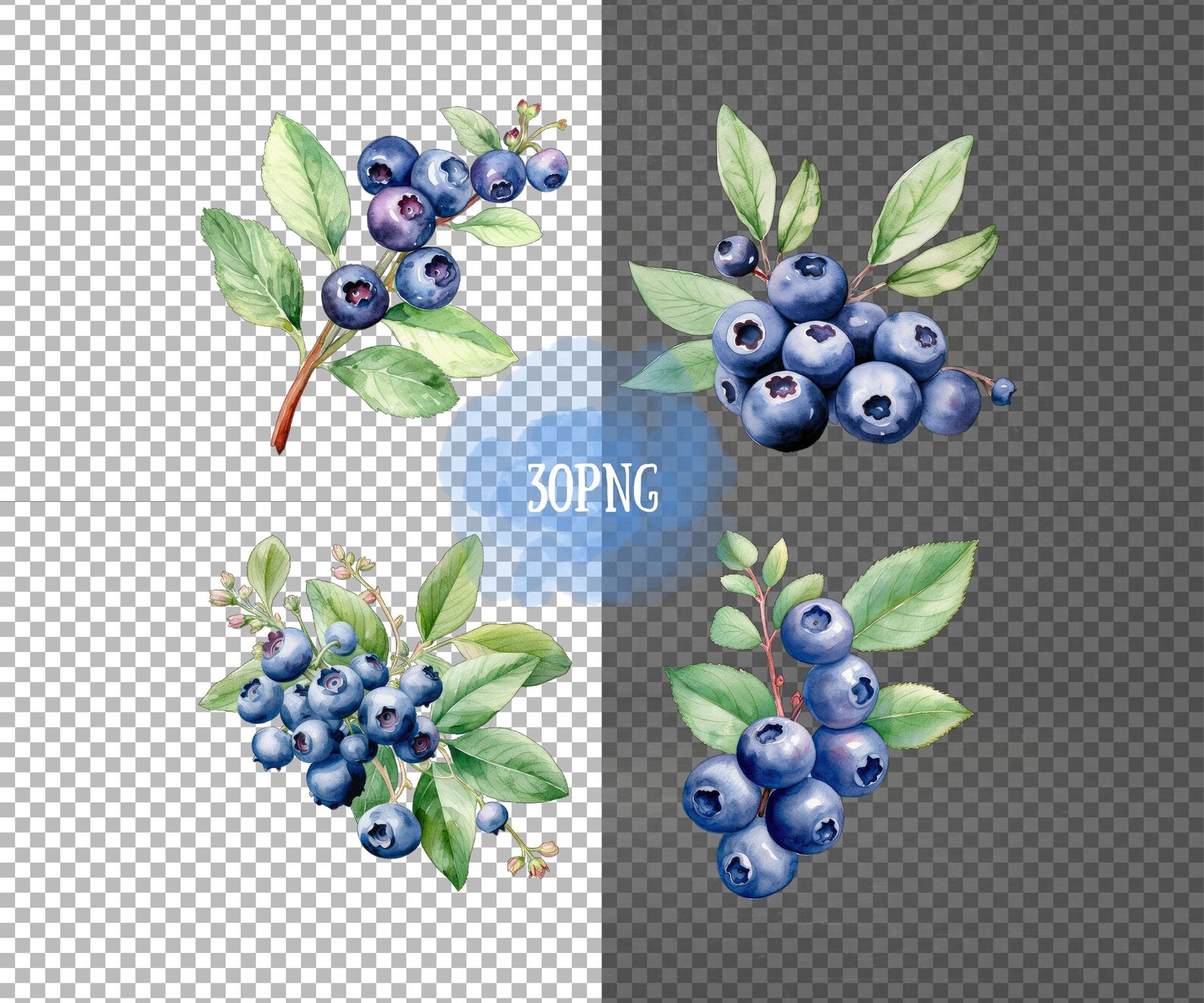 Blueberry Watercolor Clipart, Decorative Frame, Line, Leaf, Fruit ...