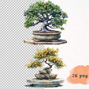 Watercolor Bonsai Tree Clipart - 26 PNG Miniature Tree Illustrations ...