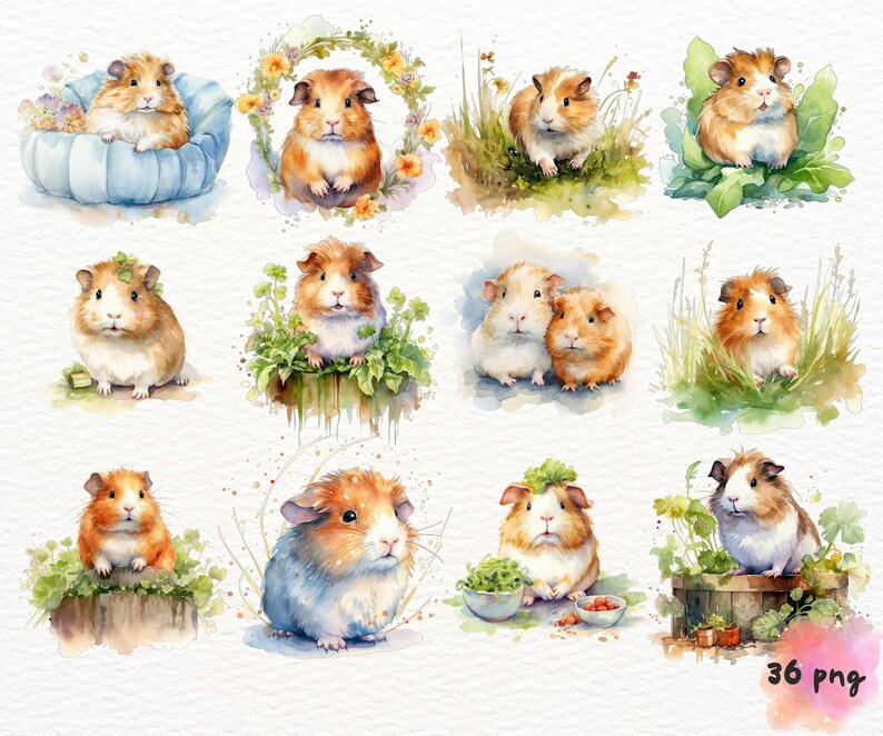 Chubby Guinea Pigs Watercolor Clipart Cute Kawaii Cartoon Guinea Pigs ...