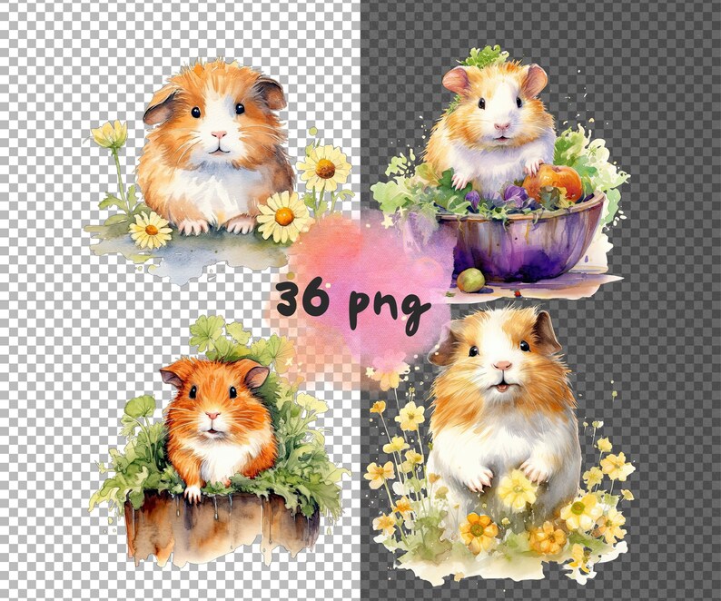 Chubby Guinea Pigs Watercolor Clipart Cute Kawaii Cartoon Guinea Pigs ...
