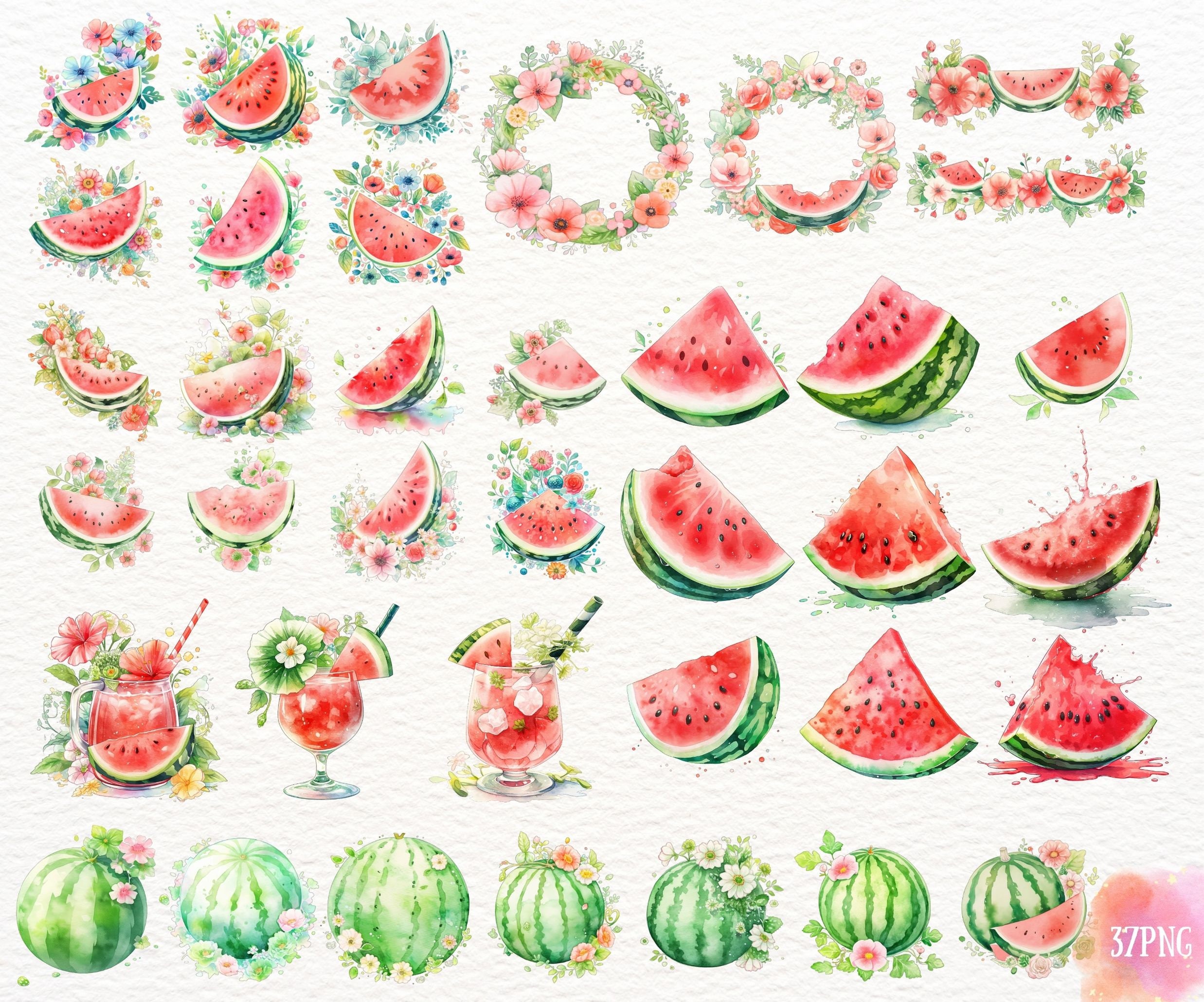 Watermelon Watercolor Clipart Decorative Frame Line Leaf Fruit