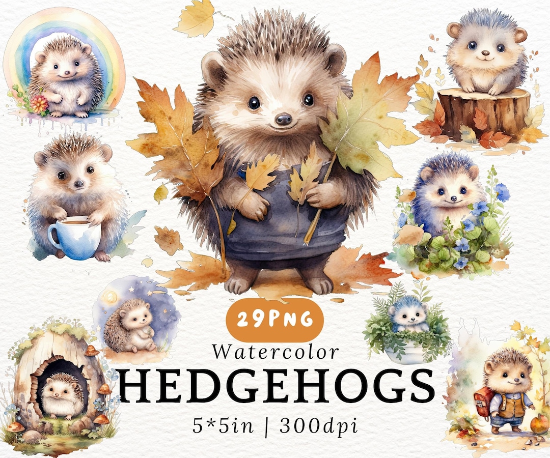 Chubby Hedgehogs Watercolor Clipart - Cute Kawaii Cartoon Hedgehogs ...