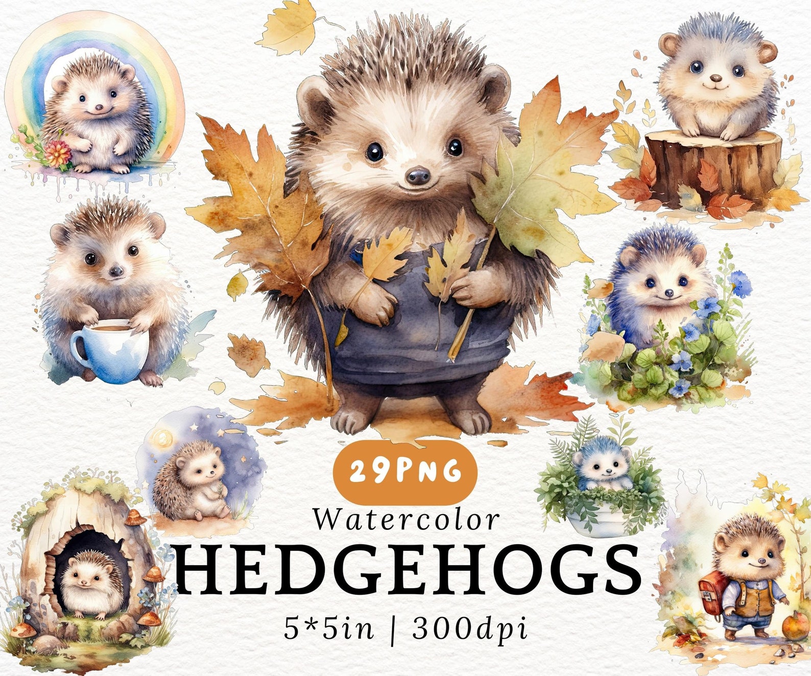 Chubby Hedgehogs Watercolor Clipart Cute Kawaii Cartoon Hedgehogs, Baby ...