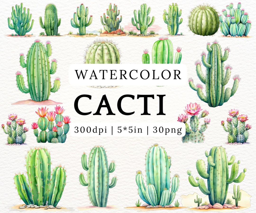 Watercolor Cactus Clipart - Desert Succulent PNG, Floral Cacti Stickers ...