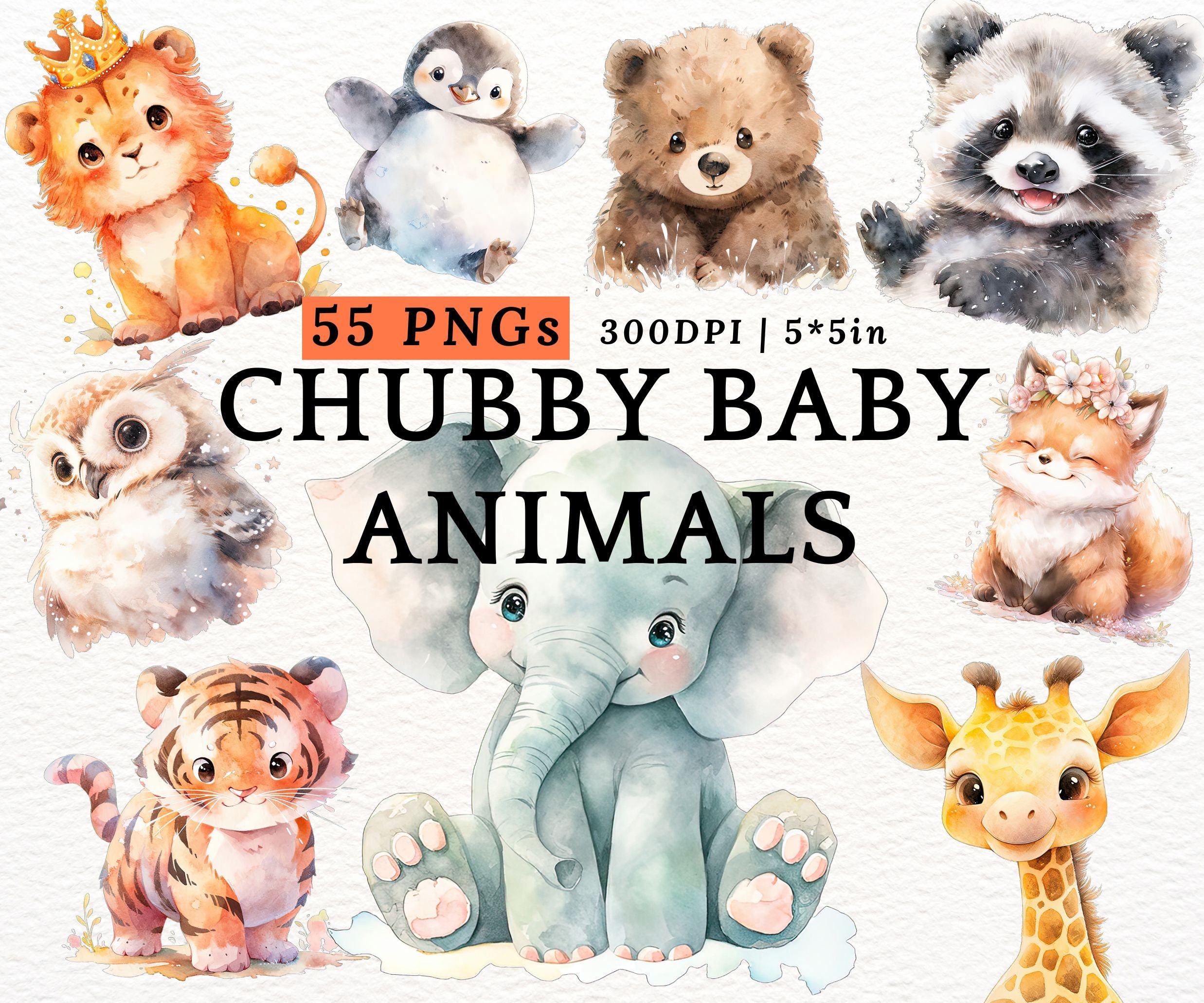Cute Chubby Baby Animals