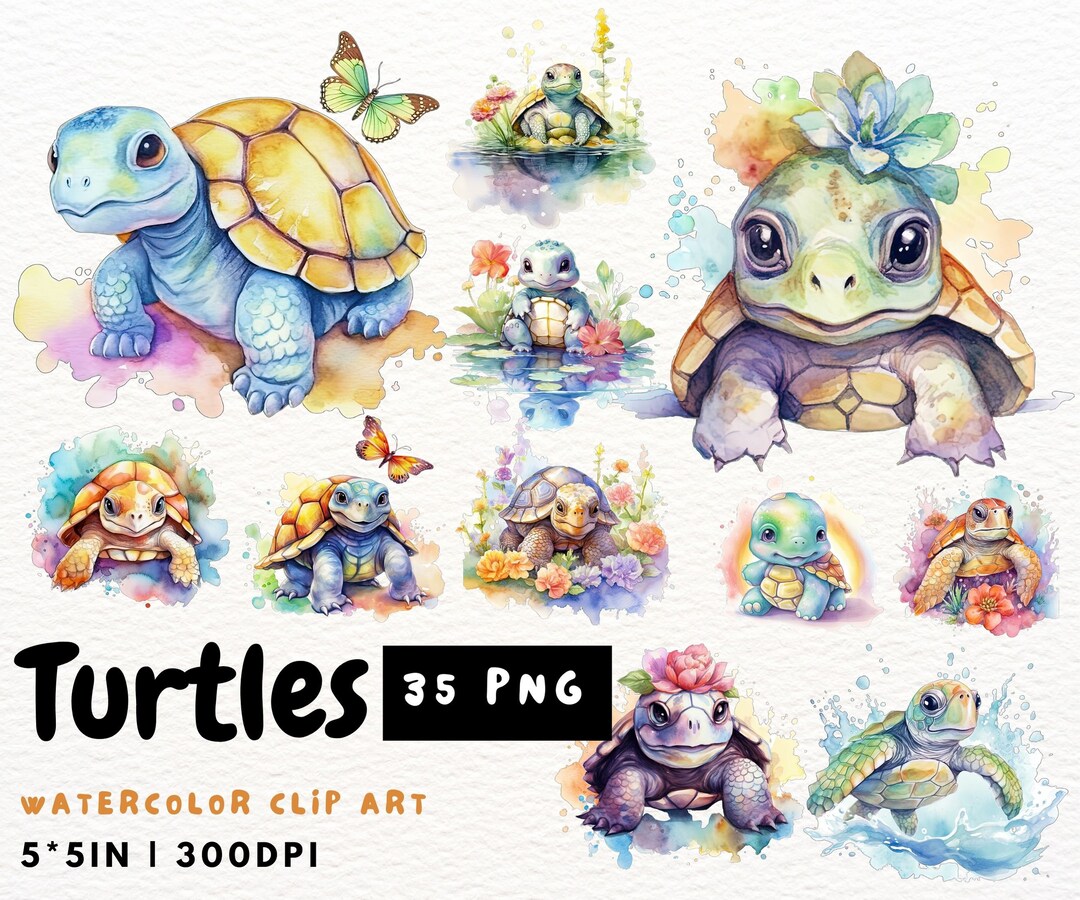Chubby Turtles Watercolor Clipart Cute Kawaii Cartoon - Etsy