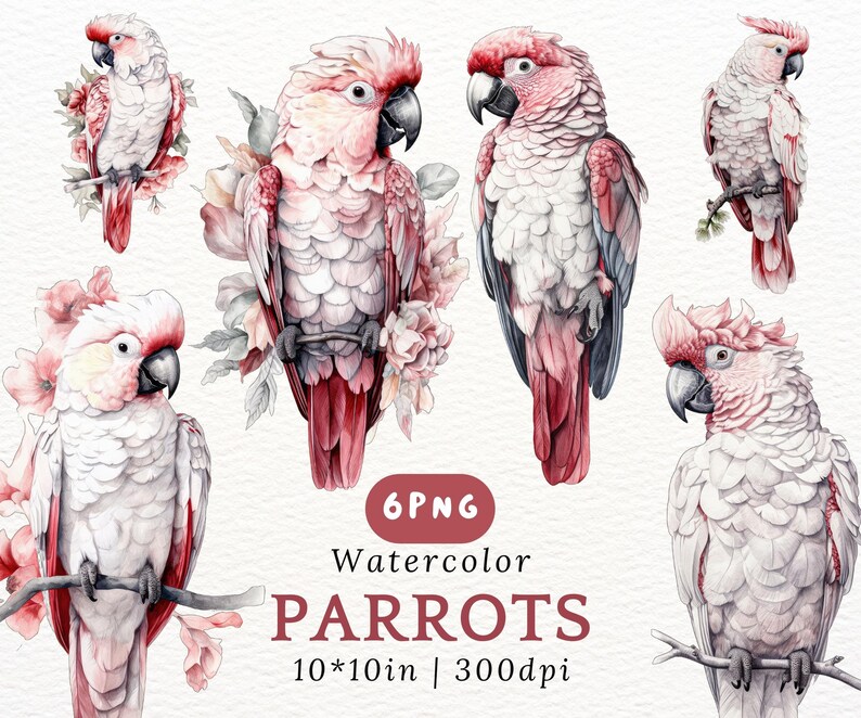 Pink Parrots Watercolor Clipart Set Exotic Birds With Flowers ...