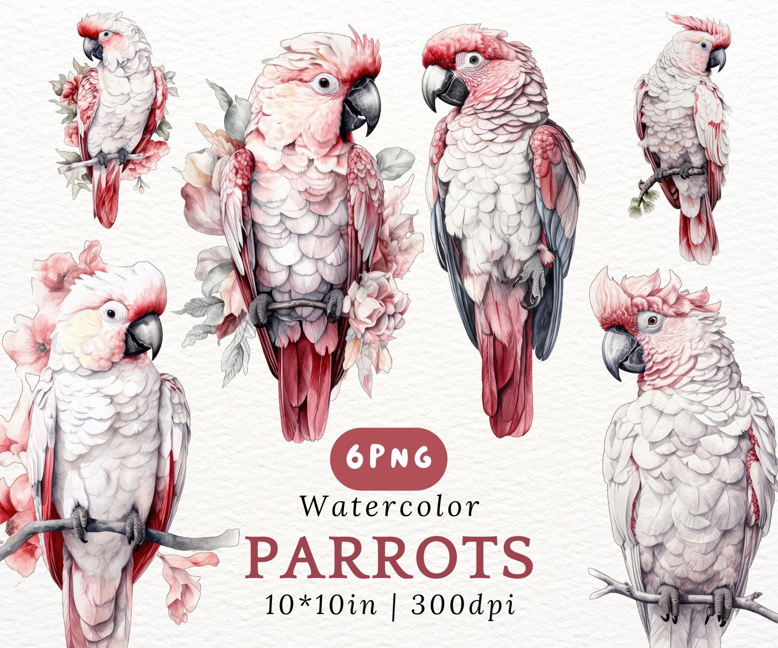 Blush Pink Parrot Watercolor Clipart - Cockatoo Birds With Flowers ...
