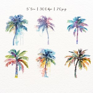 Colorful Watercolor Palm Tree Clipart, Tropical Summer PNG, Jungle ...
