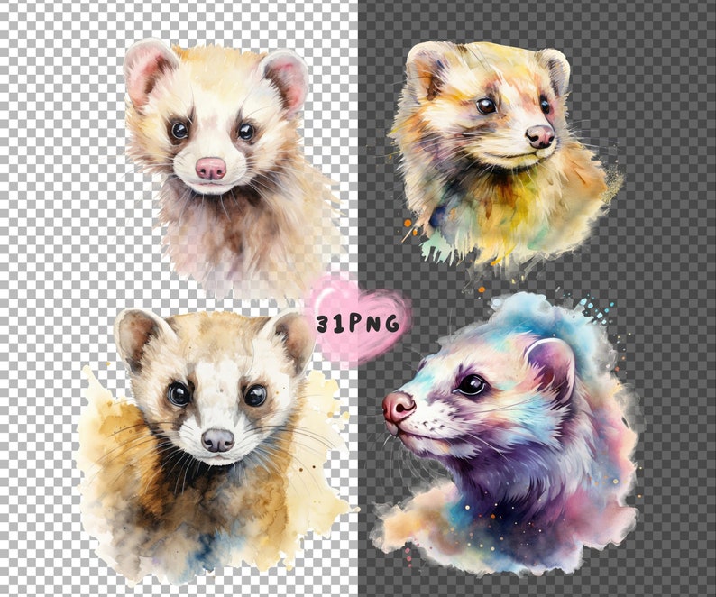 Watercolor Ferret Clipart - Cute Kawaii Ferrets,baby Ferret Pngs ...
