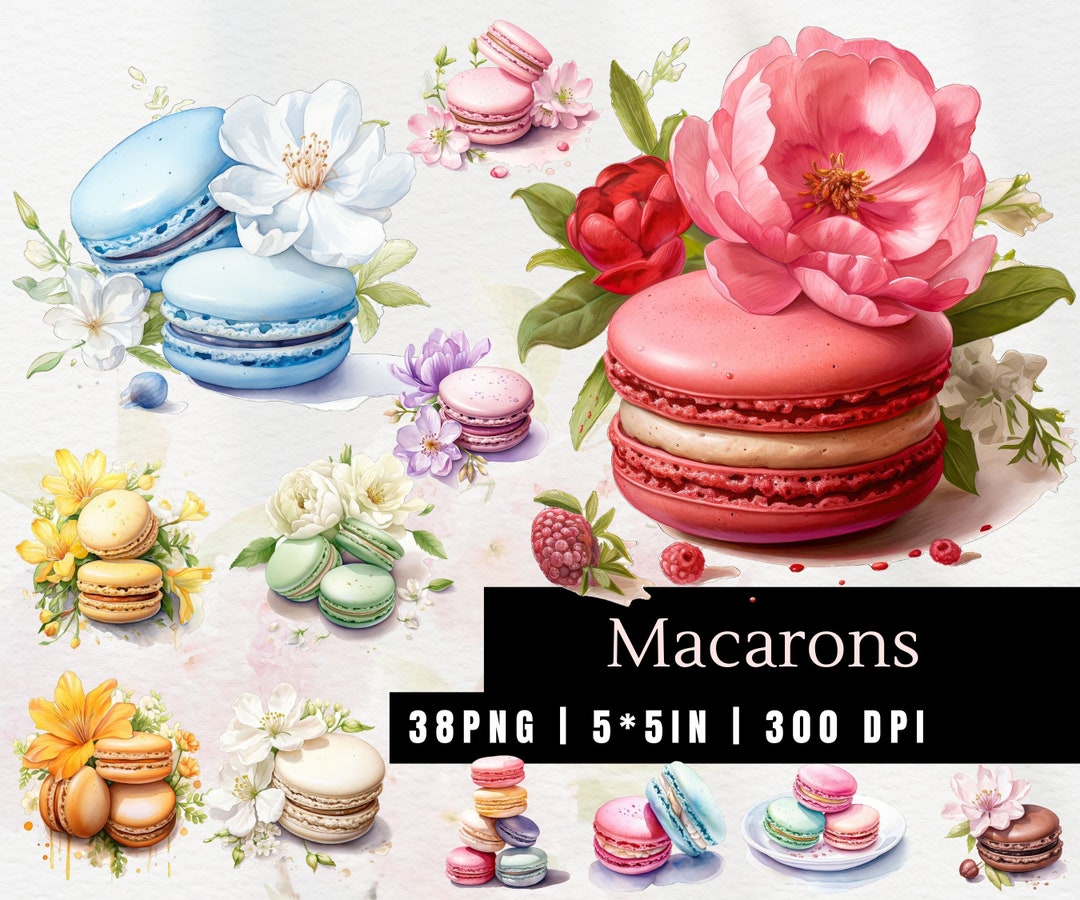 Watercolor French Macaron Clipart Pastel Colors Bakery - Etsy
