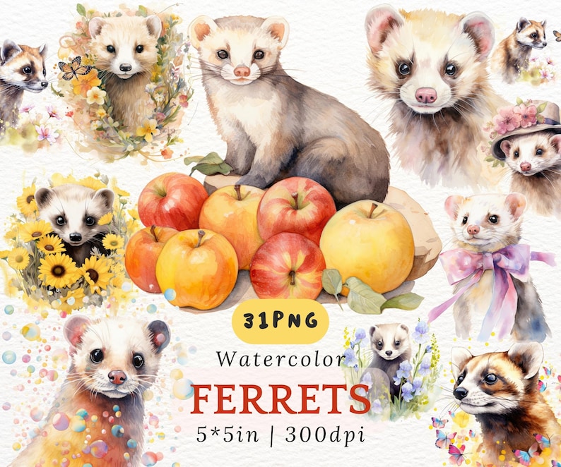 Watercolor Ferret Clipart - Cute Kawaii Ferrets,baby Ferret Pngs ...