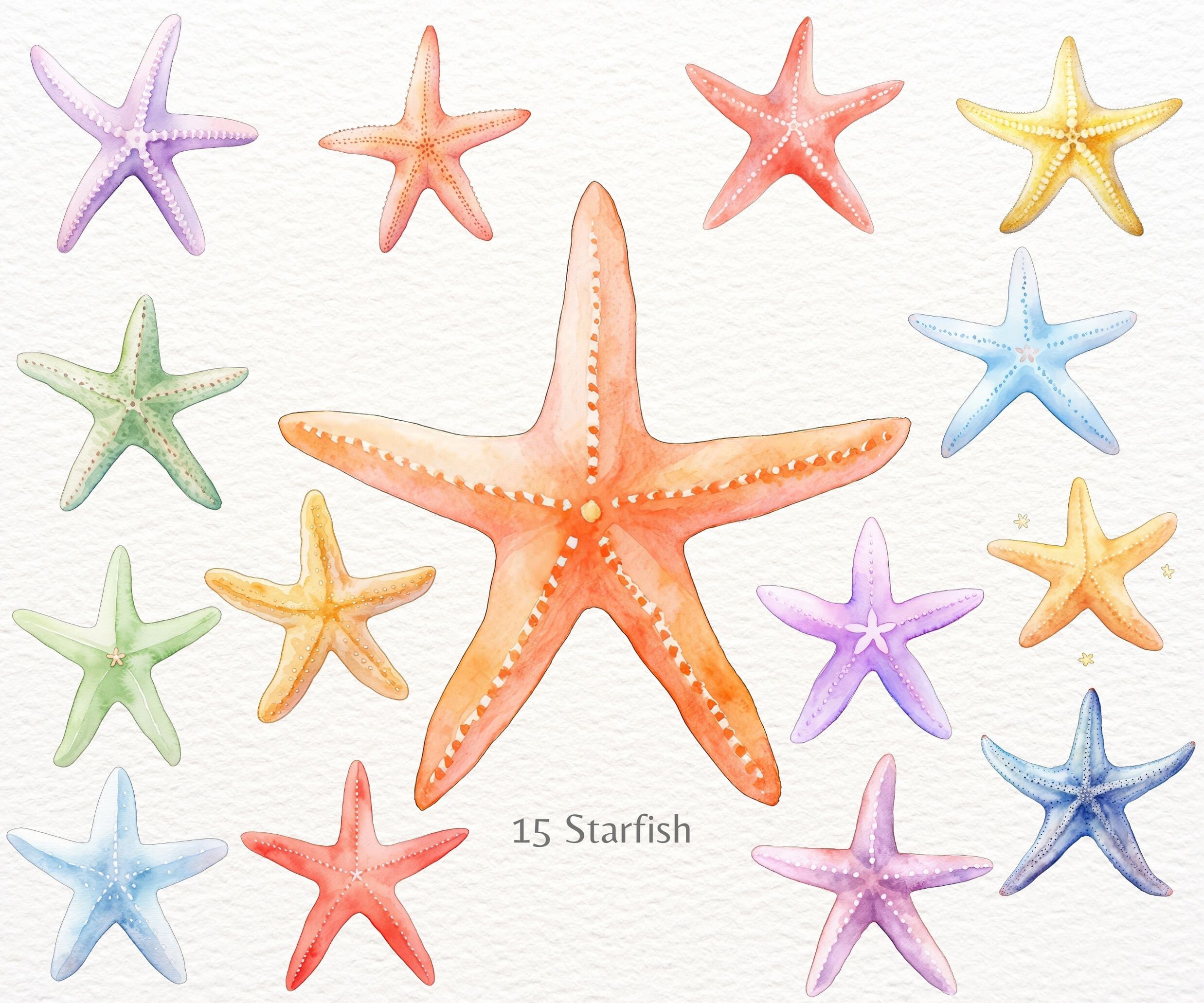 Watercolor Beach Treasures Clipart,sea Shells,sea Stars,corals ...