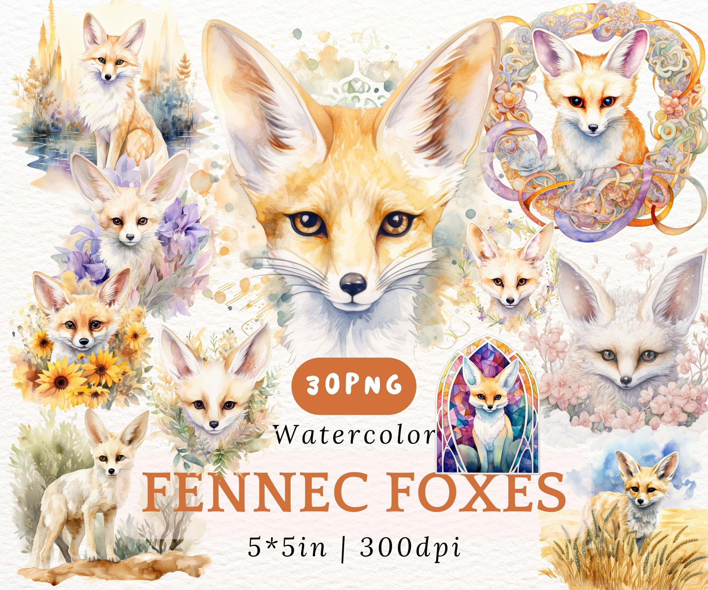 Disegni Di Cuccioli Di Volpe Fennec Adesivi A Tema Fennec Fox | Motivi